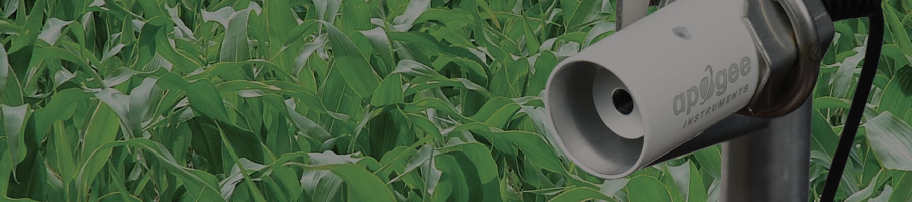 Sistemas de Intercambio de Gases, Transpiración y Estrés...